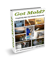 Remove Mold and Mildew Yourself Quickly and Easily